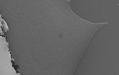 Equipment – Complex Systems @ UniTN